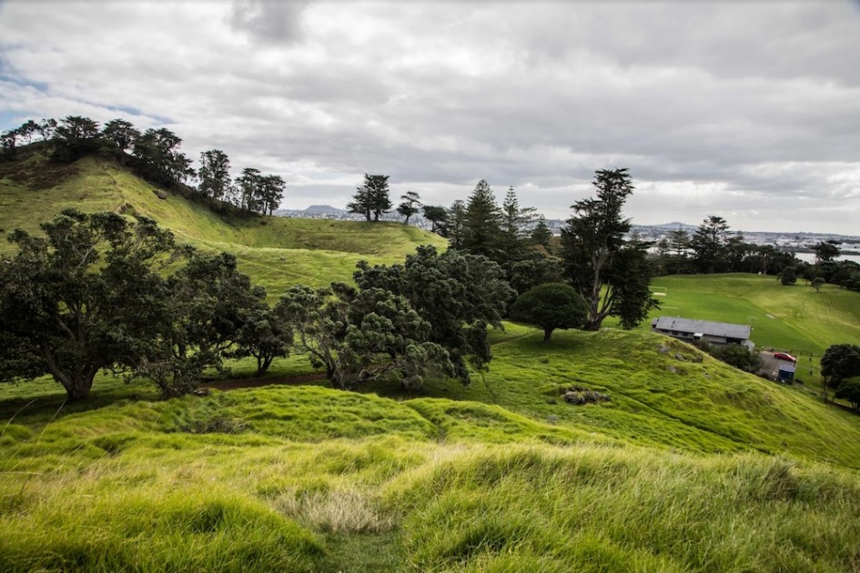 Maunga love » Mangere Development
