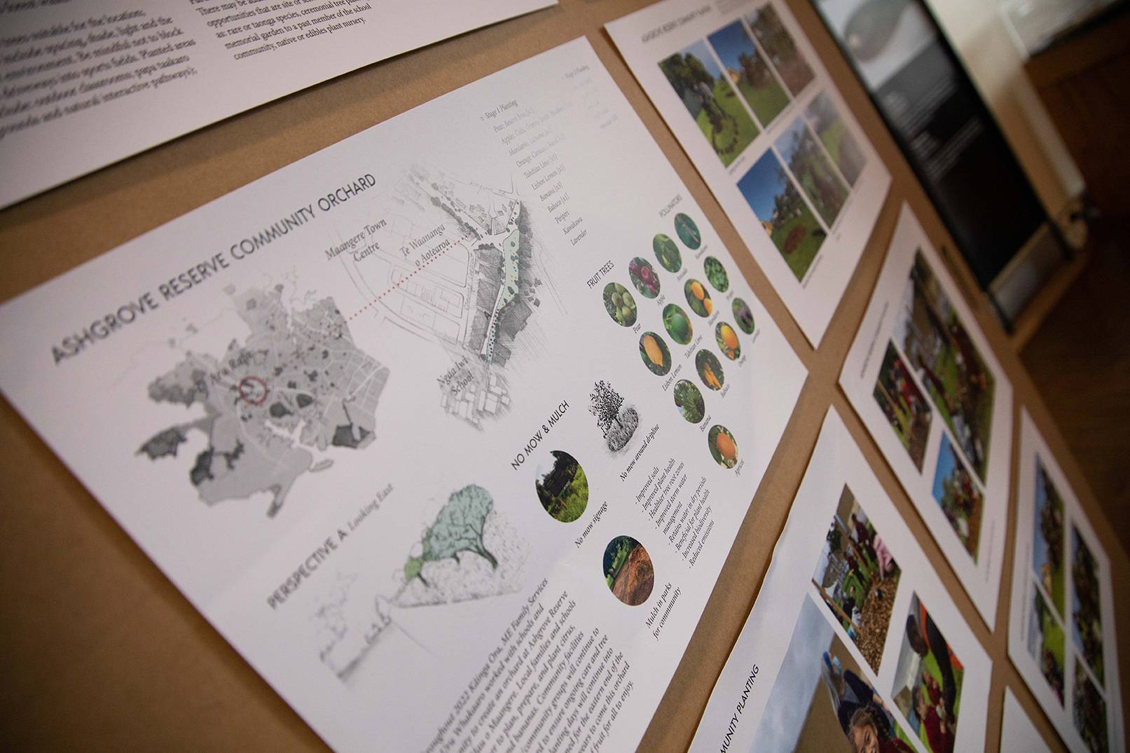Launch of new Ngaa Hau o Maangere Ngahere Planting Guide » Mangere ...